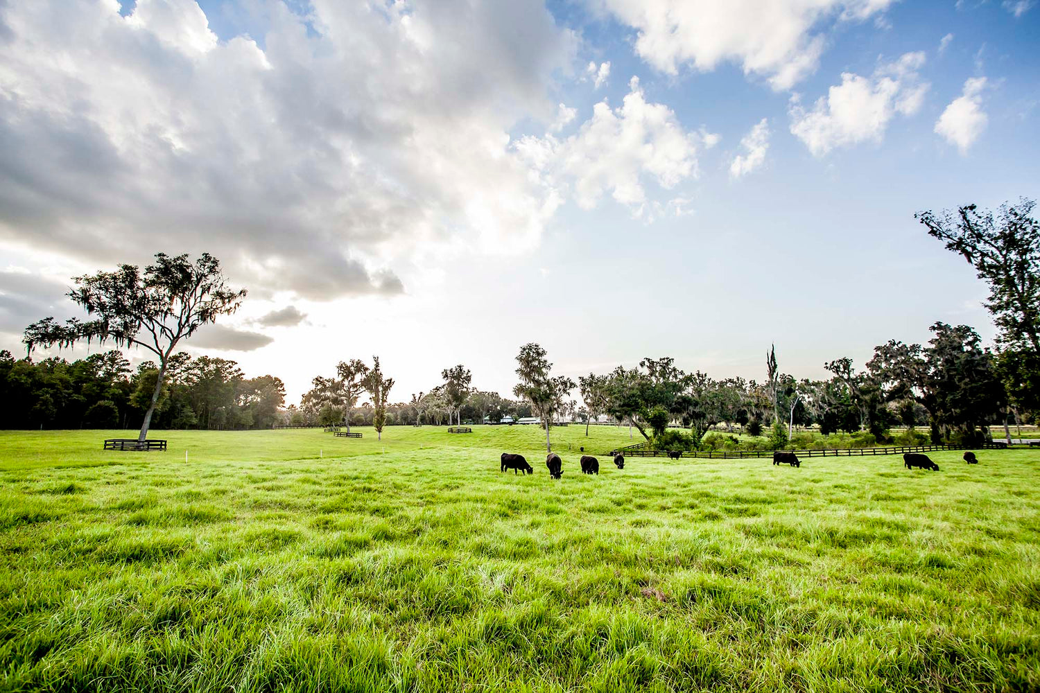 Contact – Adena Farms